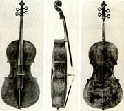 The King Cello: The Reigning Monarch of All Cellos – The Long Island ...