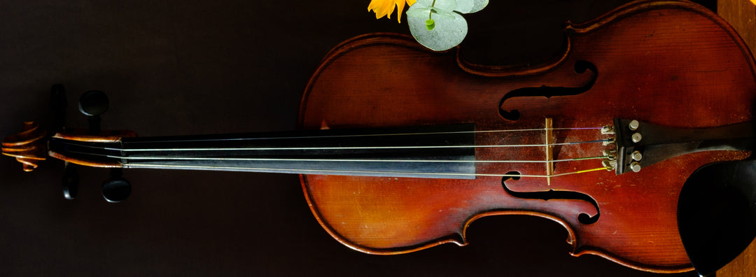 Advanced Violins ($4,500- $7,000) – The Long Island Violin Shop