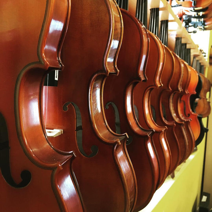 Rental Special - Fall 2025 – The Long Island Violin Shop