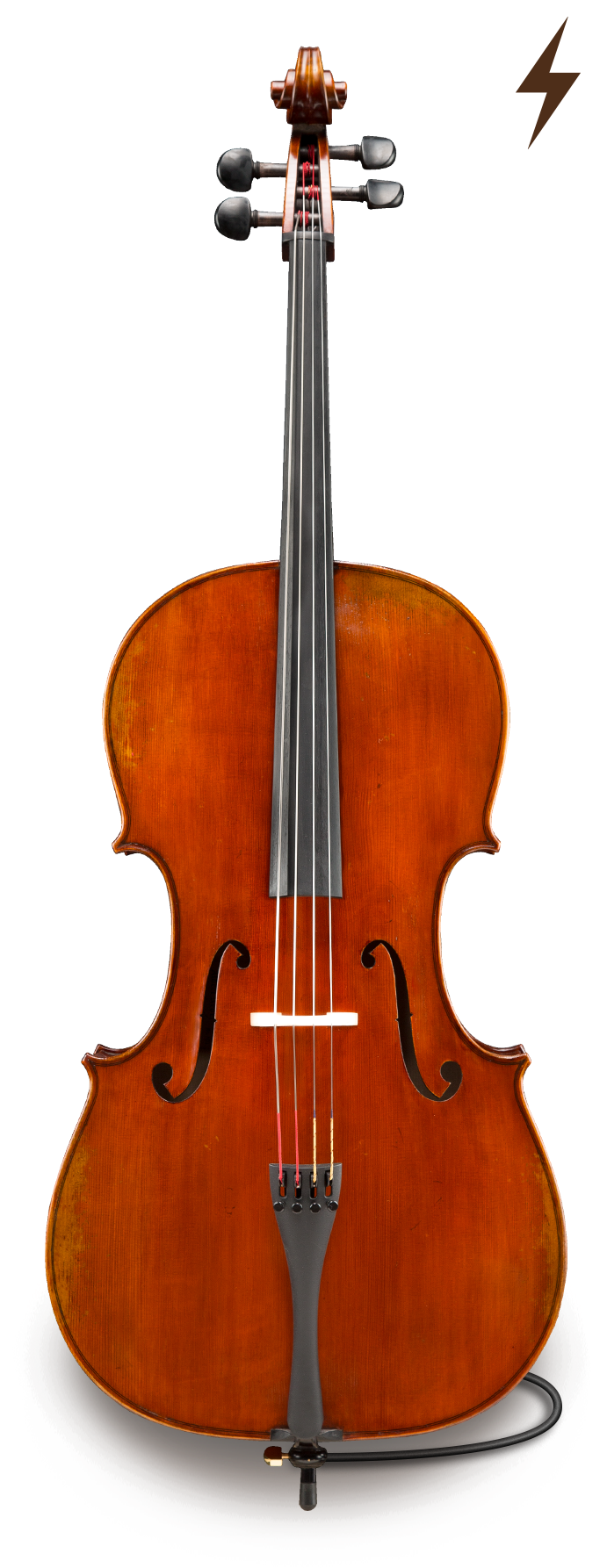 Albert Nebel Model 601 Electro-Acoustic Cello – The Long Island Violin Shop