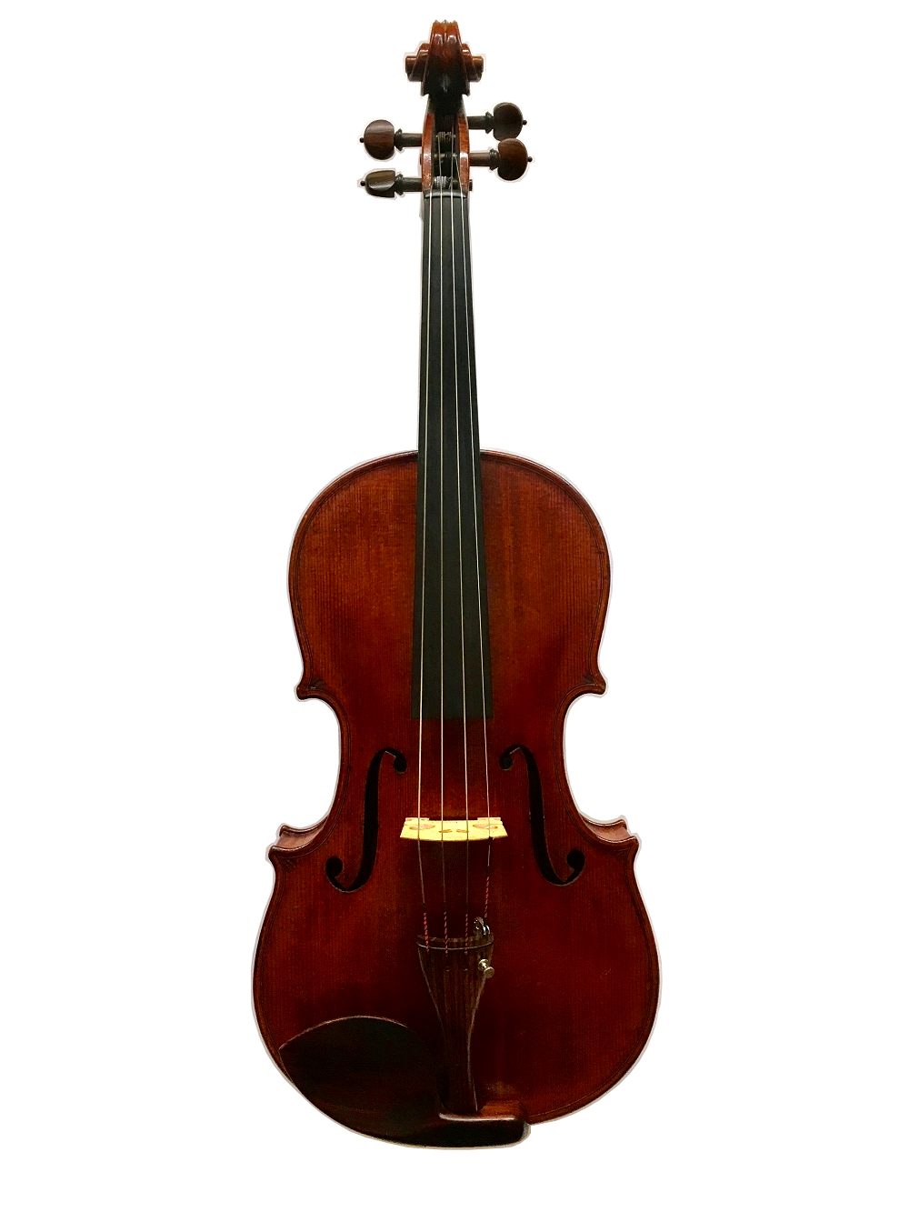 Orofino 15" Viola – The Long Island Violin Shop